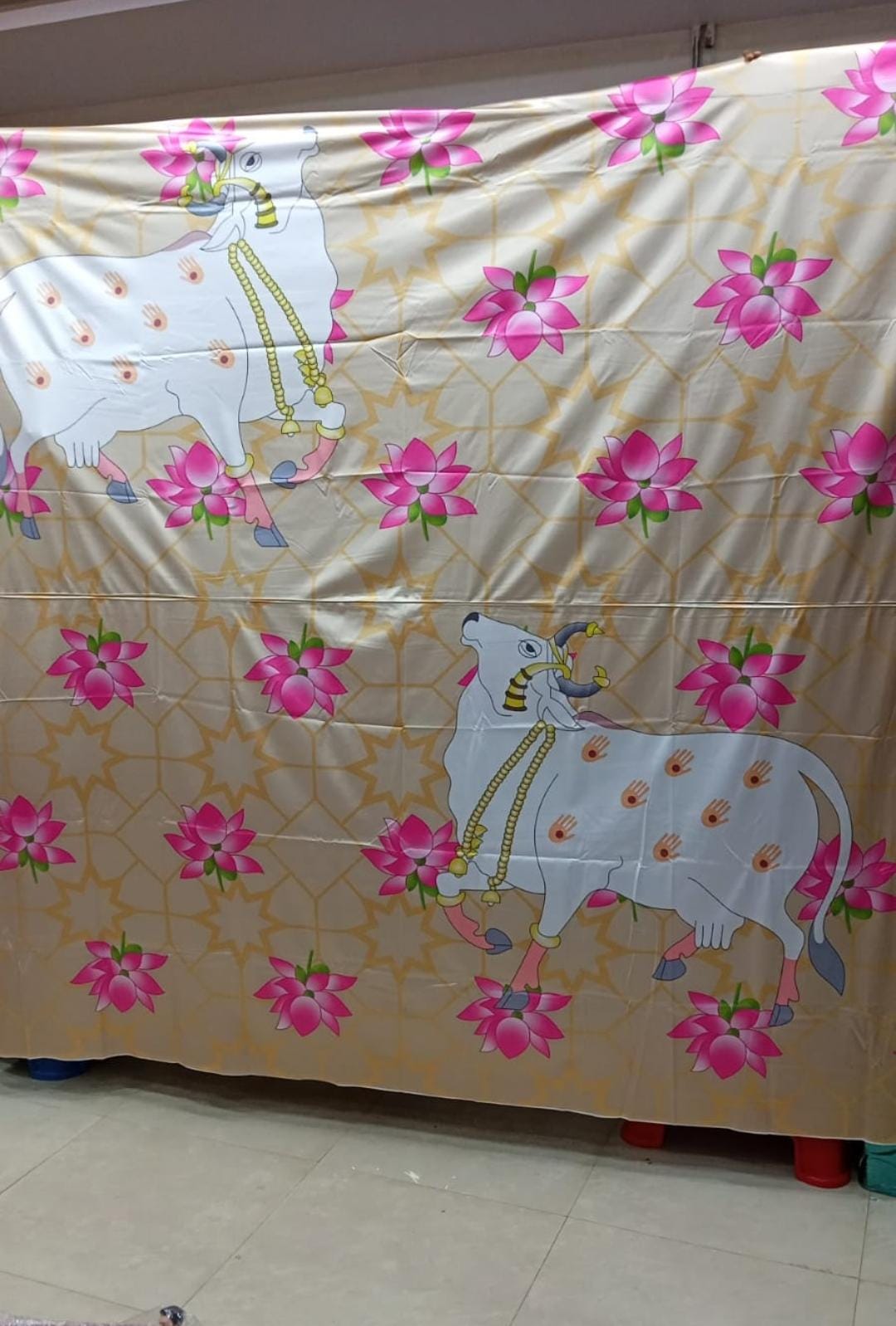 Backdrop Cow Lotus Cream – 8ftX8ft – Vizag Party Shop